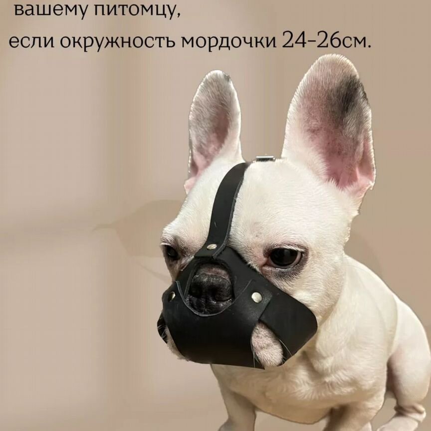 Намордник для собак