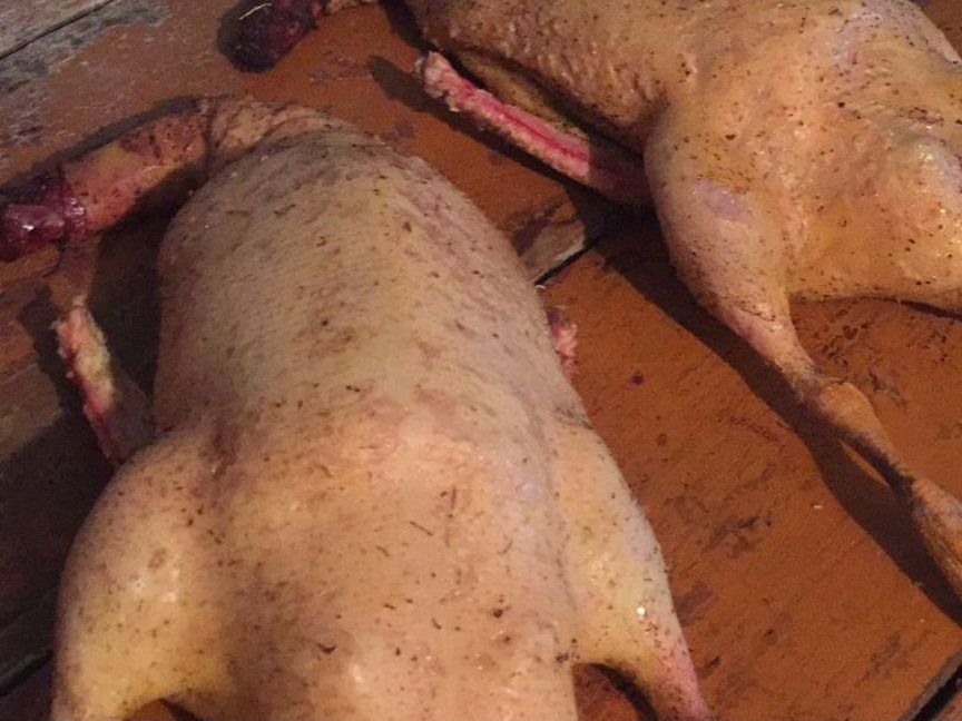 Продам уток