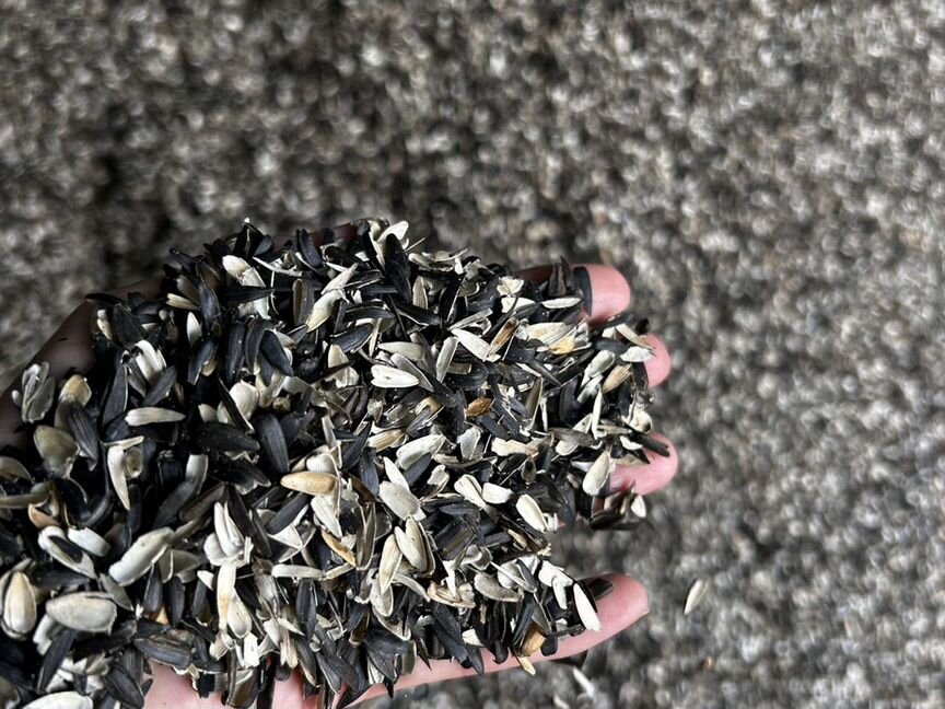 Лузга подсолнечника