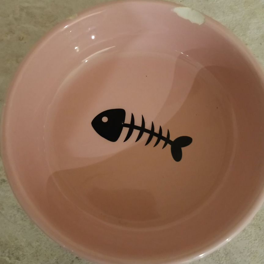 Керамическая миска для кошки