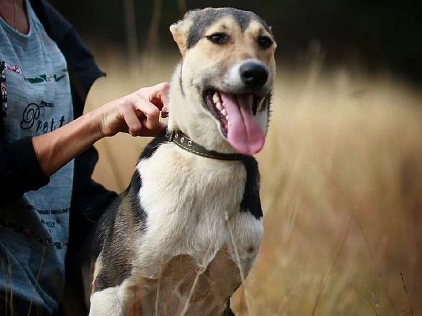 Долька ищет семью