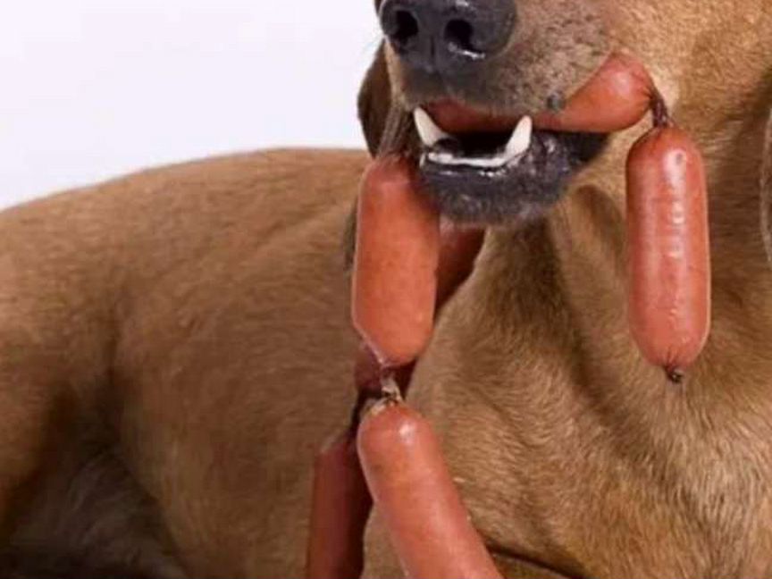 Продам колбасу на корм животным