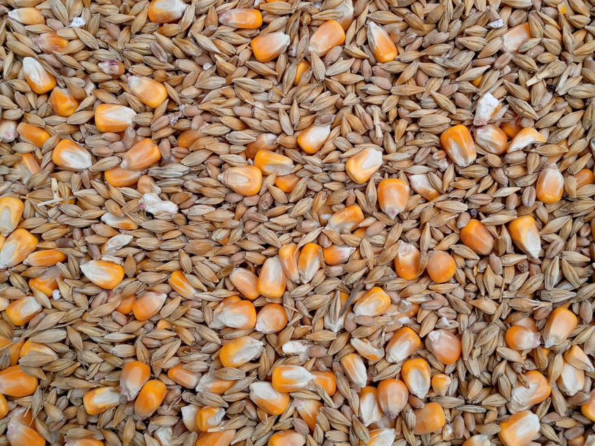 Зерносмесь