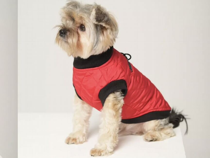 Курточка для собак мини пород