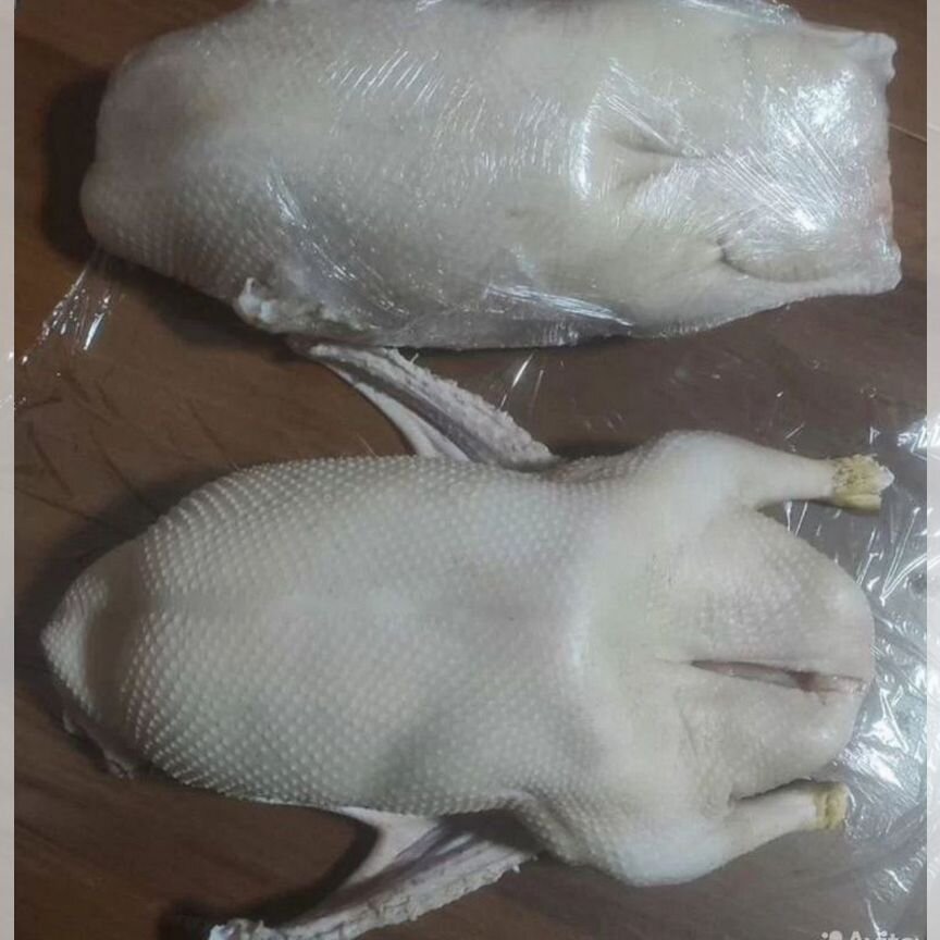 Мясо гуся