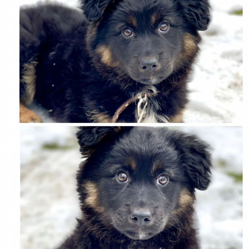 Очаровательная малышка в добрые ручки