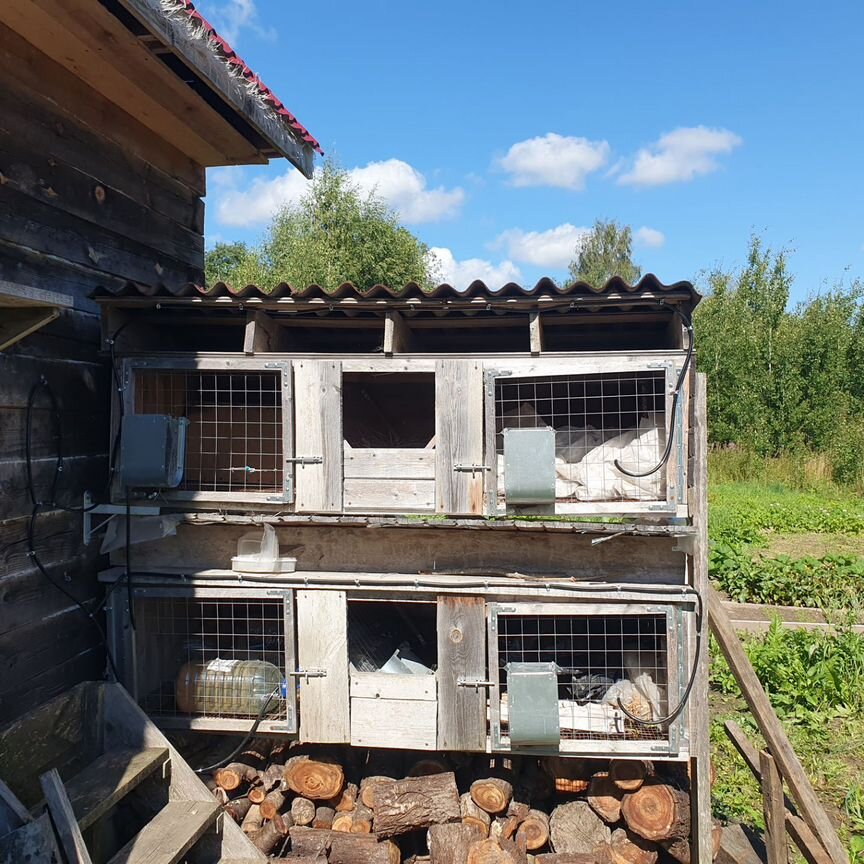 Клетки для кроликов бу