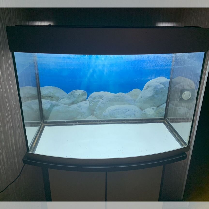 Аквариум на 100 л. с подсветкой