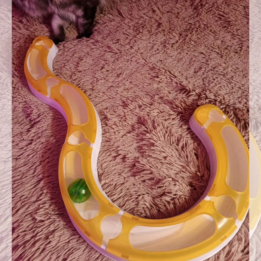 Интерактивные игрушки для кошек