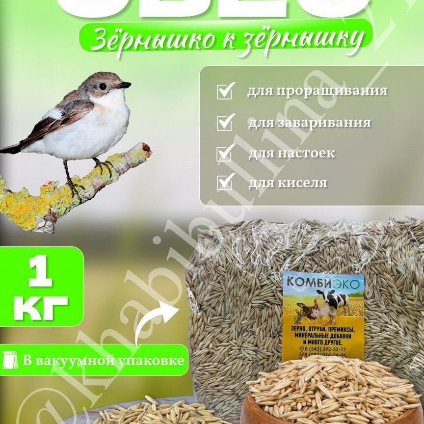 Зерно овес 1 кг ; 3 кг