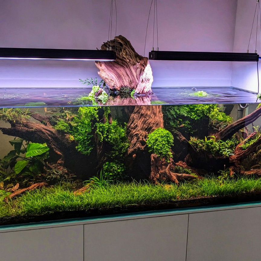 Аквариум морской и пресноводный