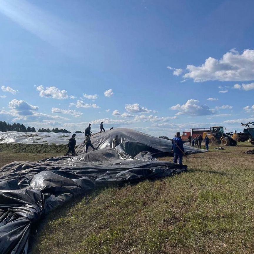 Силосная пленка черная 18*50