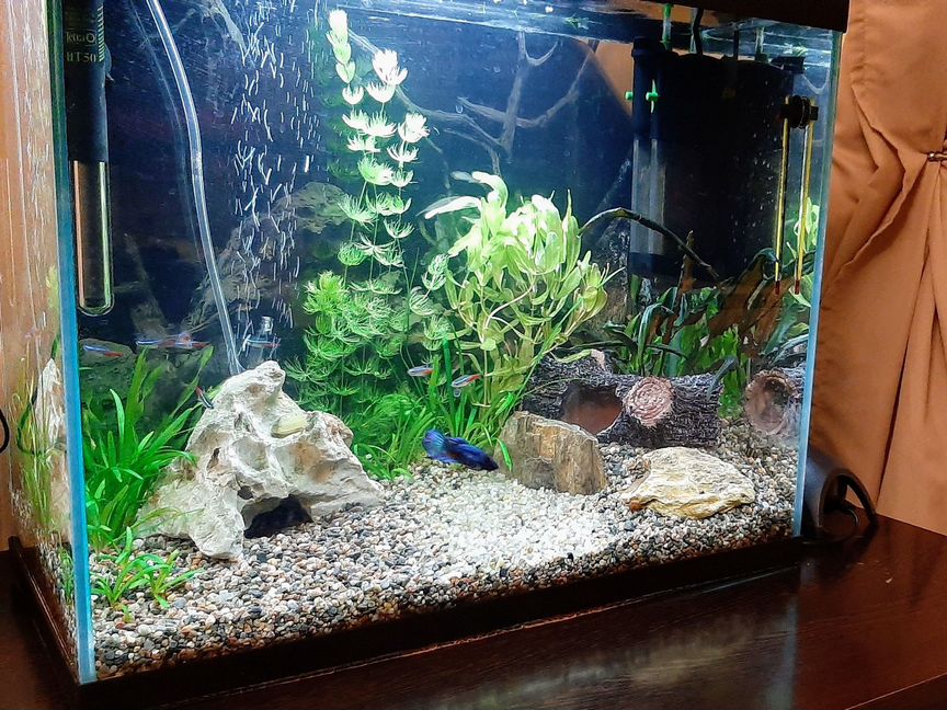 Аквариум 60л