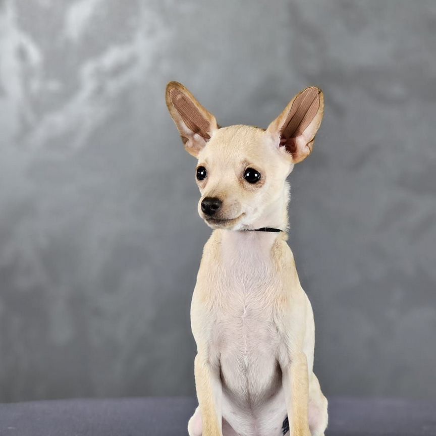 Снегурочка