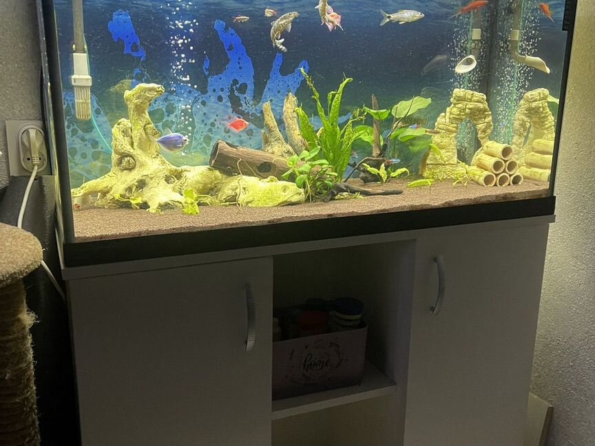 Аквариум 160 литров с тумбой и полным комплектом