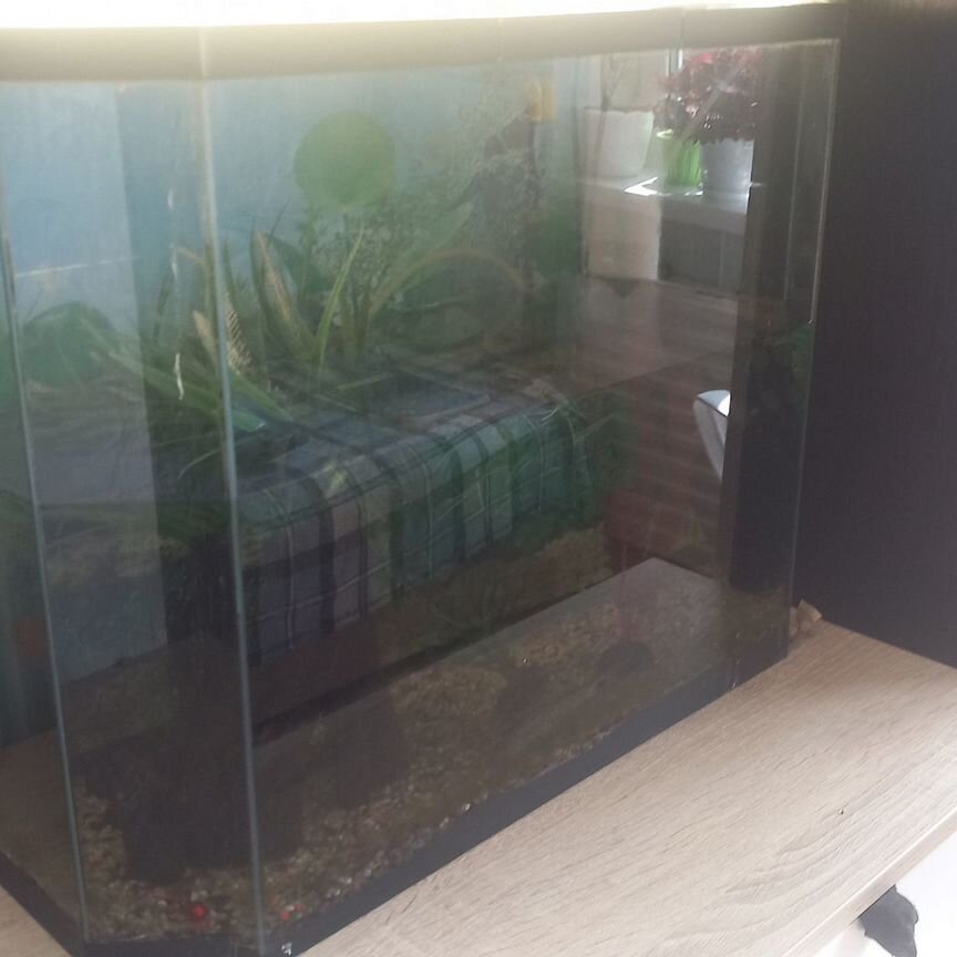 Аквариум без рыб и с полным оборудованием