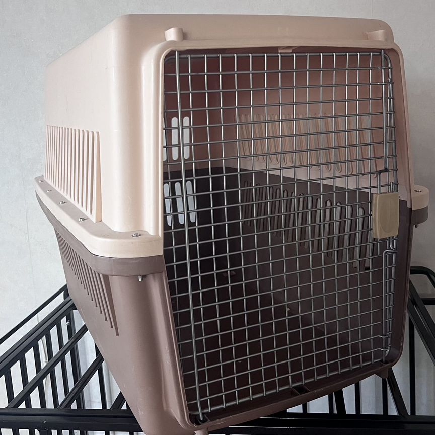 Бокс для перевозки собак