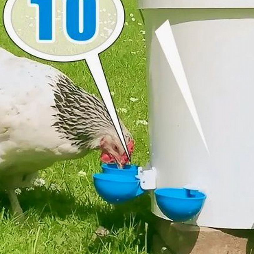 Поилки для цыплят, кур, уток