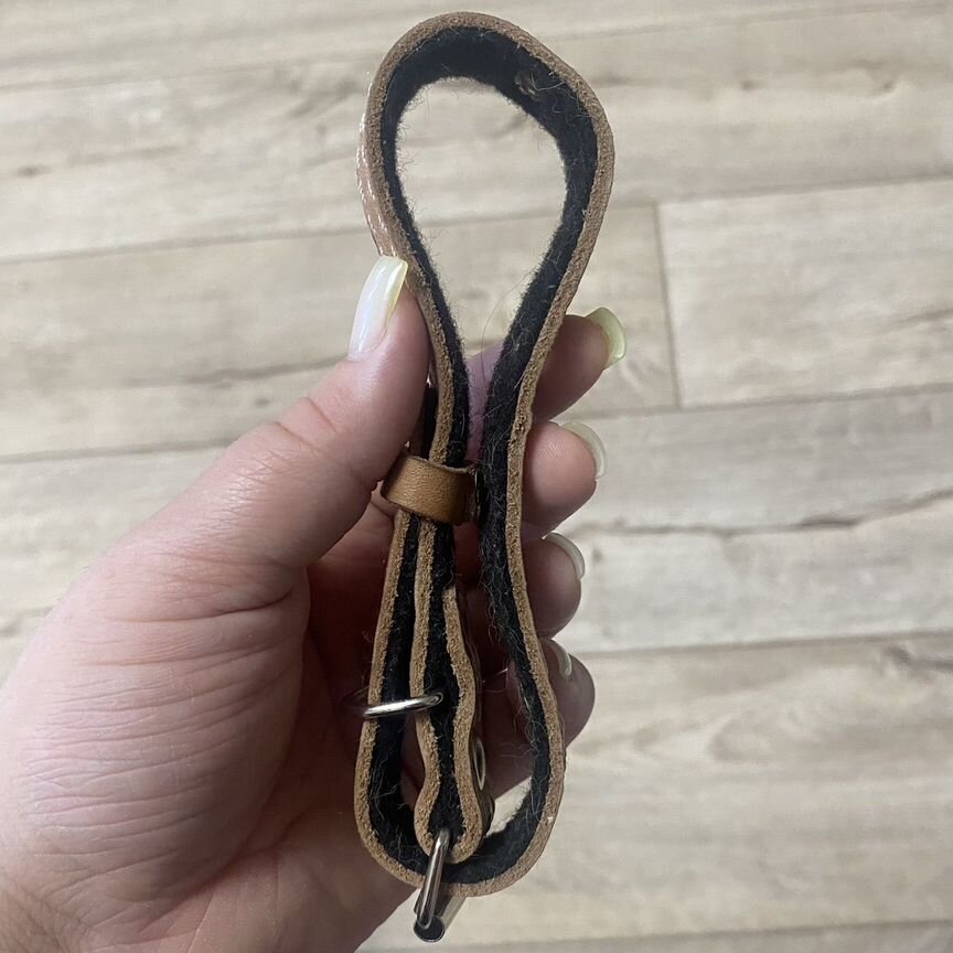 Ошейник и намордник