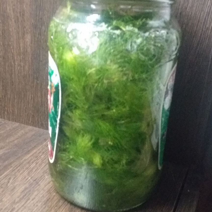 Аквариумное растения роголистник