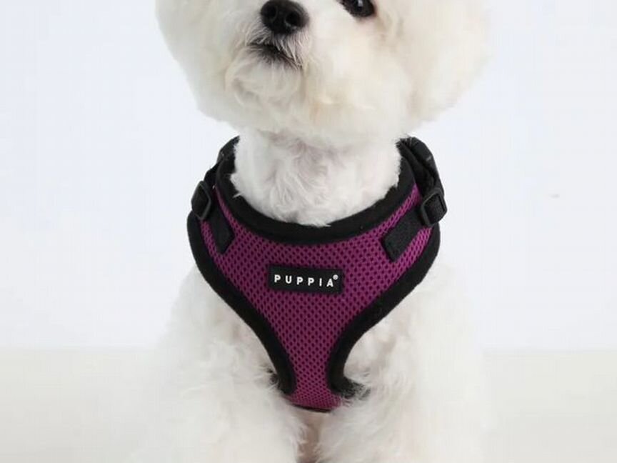 Шлейка Puppia Ritefit размер M, фиолетовая