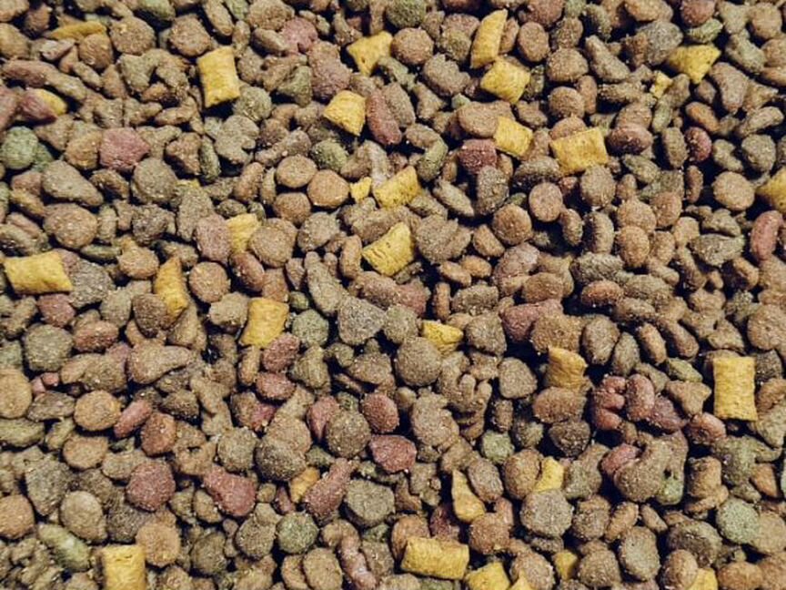 Сухой корм для кошек