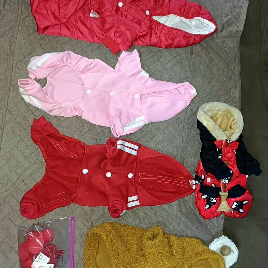 Вещи для собак бу