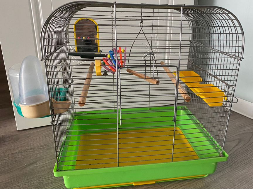 Клетка для попугая