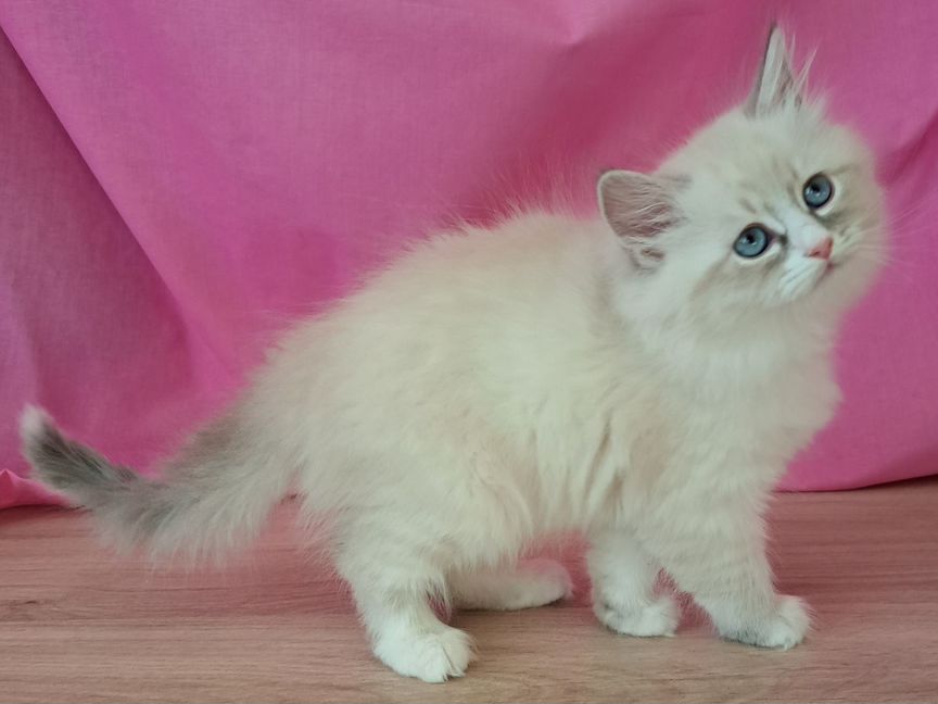 Сладкий малыш