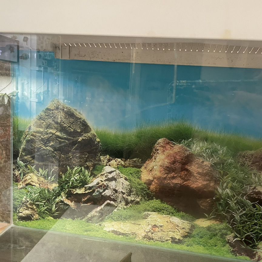 Аквариум 100л