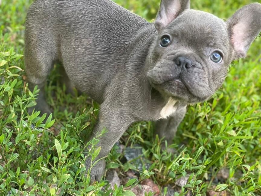 Двое братишек