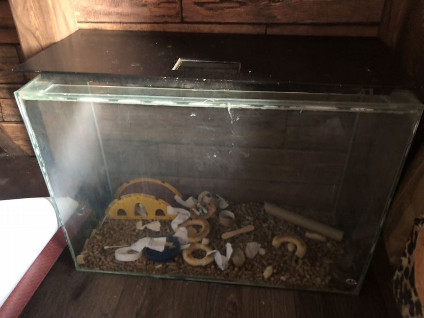 Террариум большой