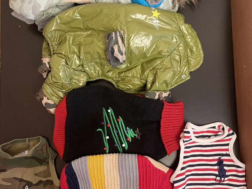 Одежда для йорка
