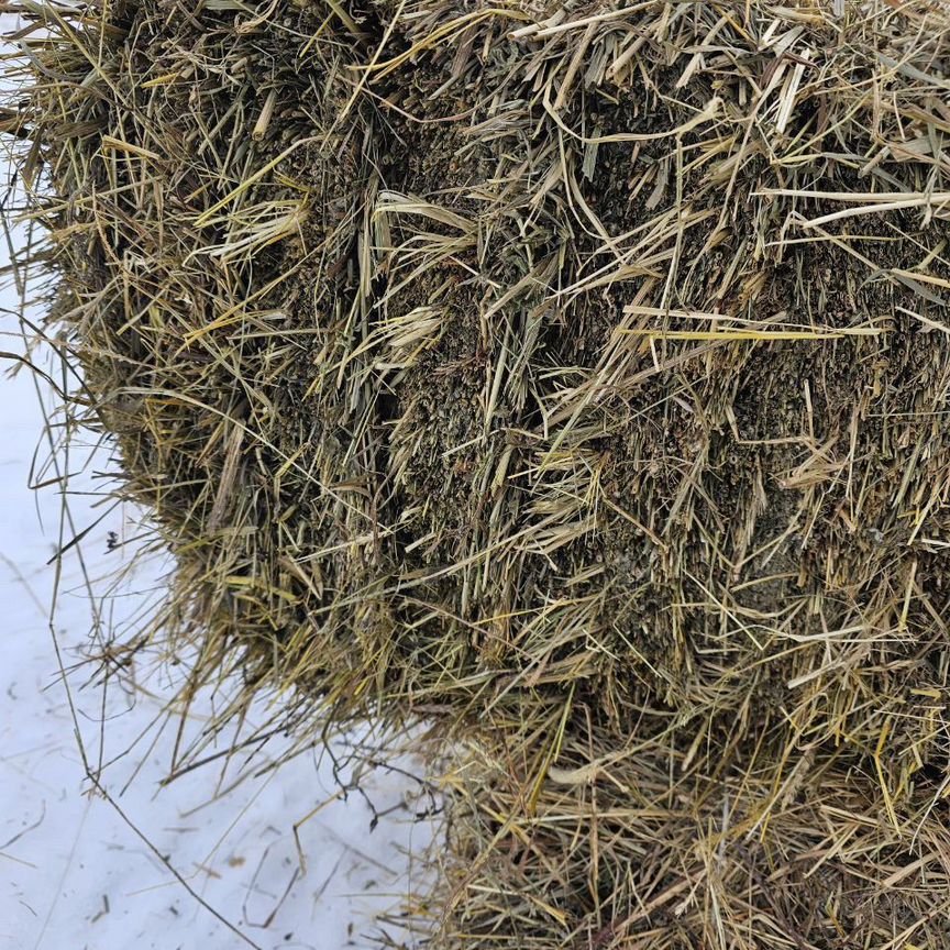 Сено