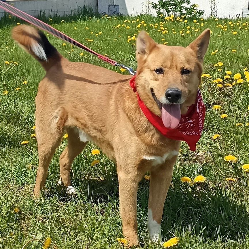 Некрупный и очень милый Миша