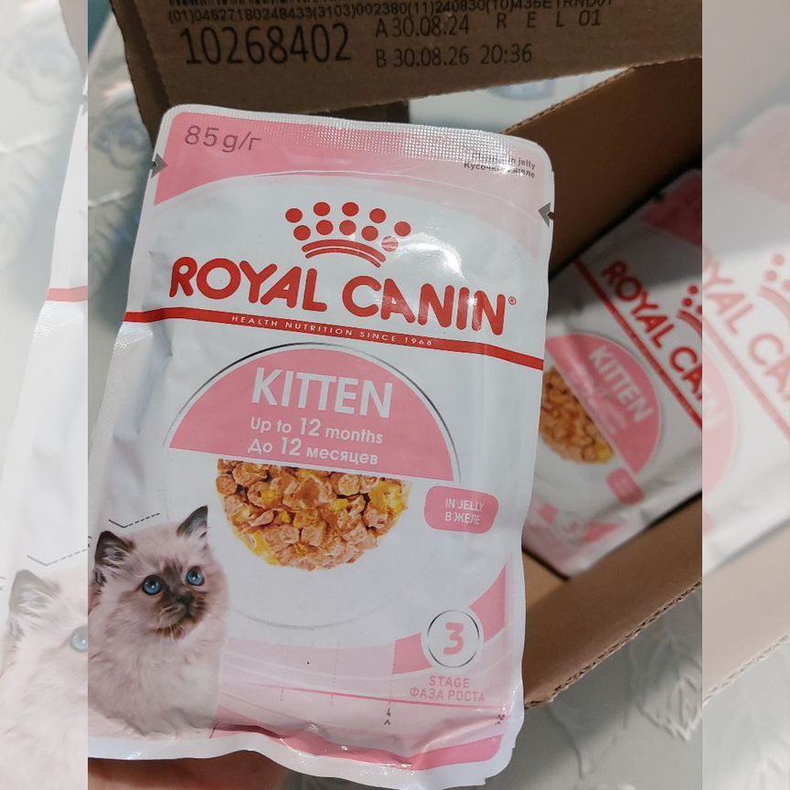Влажный корм для котят royal canin kitten