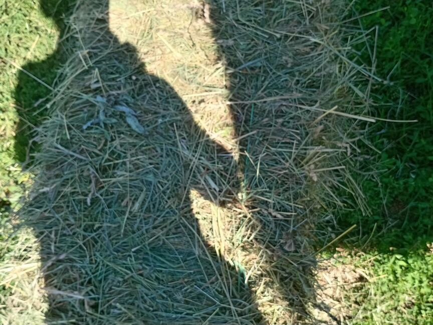 Солома в тюках