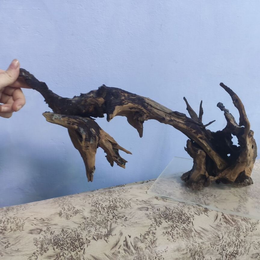 Коряга в аквариум бу