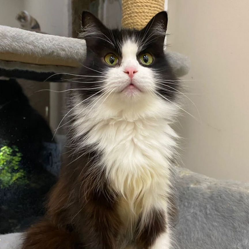 Никто не любит