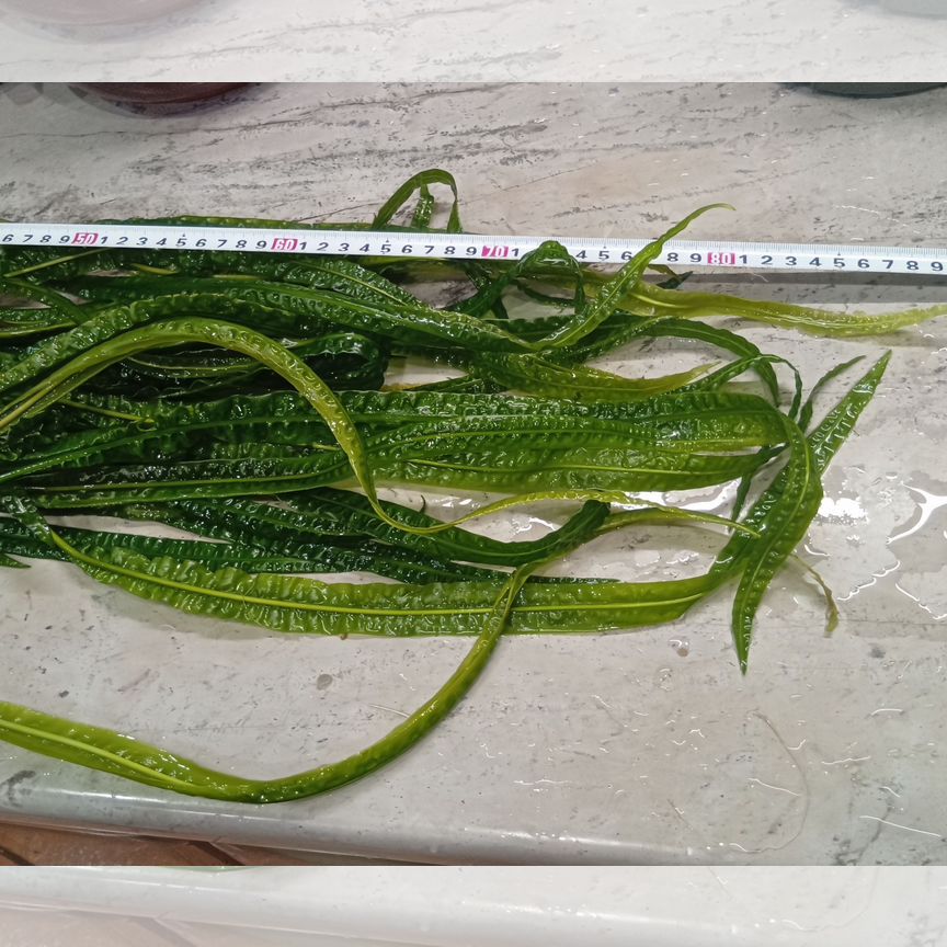 Аквариумные растения прополка