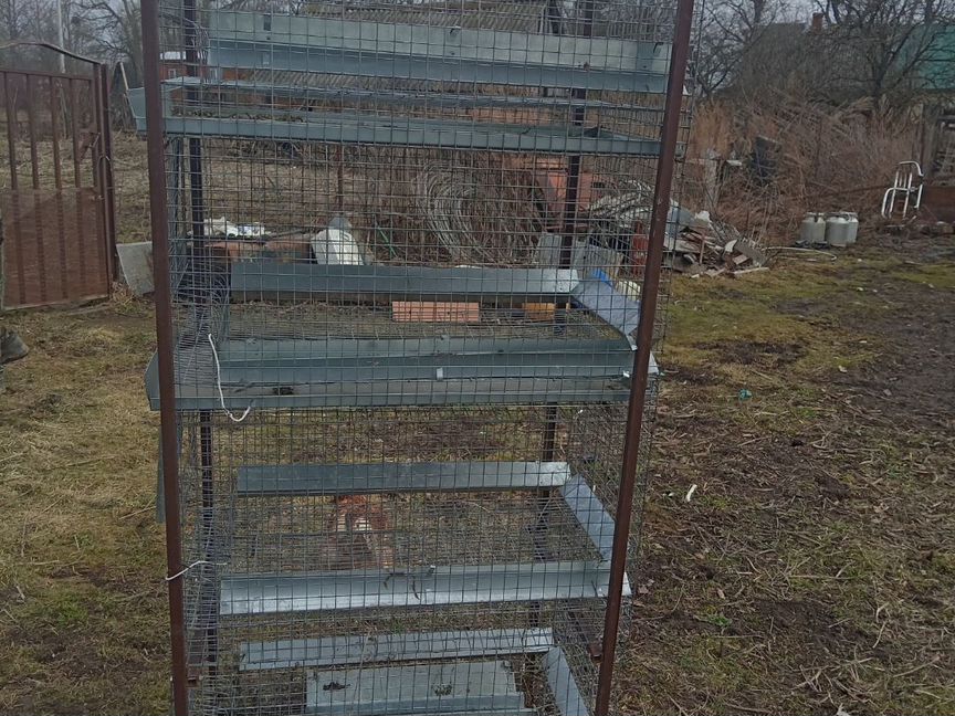 Клетка для кур, состояние идеальное