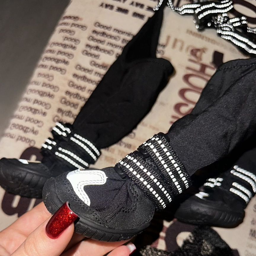 Обувь для собак