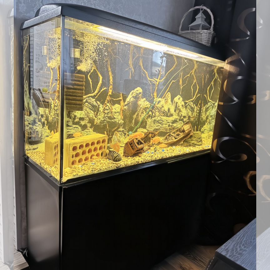 Аквариум в полном сборе бронь