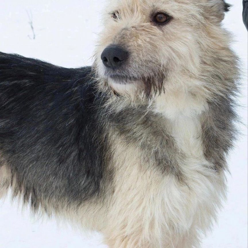 Грэй ищет свою любящую семью