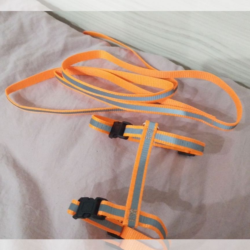 Шлейка для собак и кошек