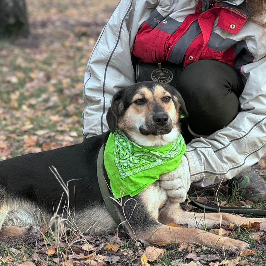Малышка Тутси в добрые руки
