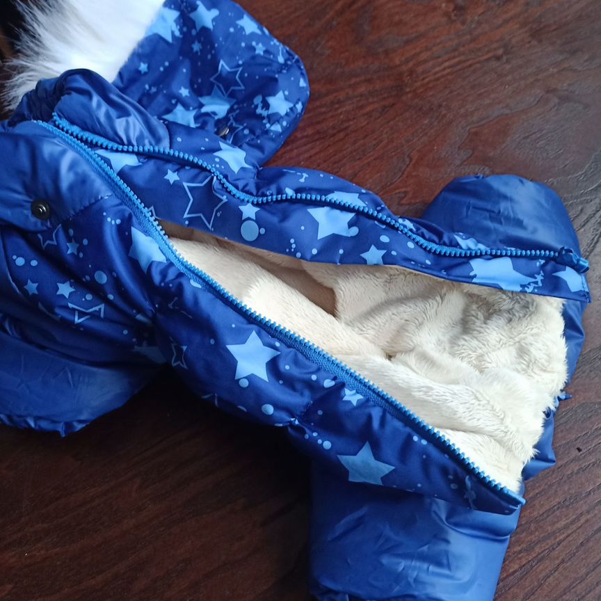 Комбинезон для маленькой собаки