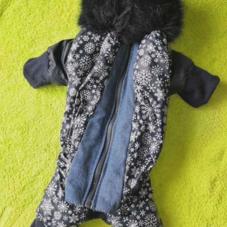 Продам комбинезон для маленькой собачки