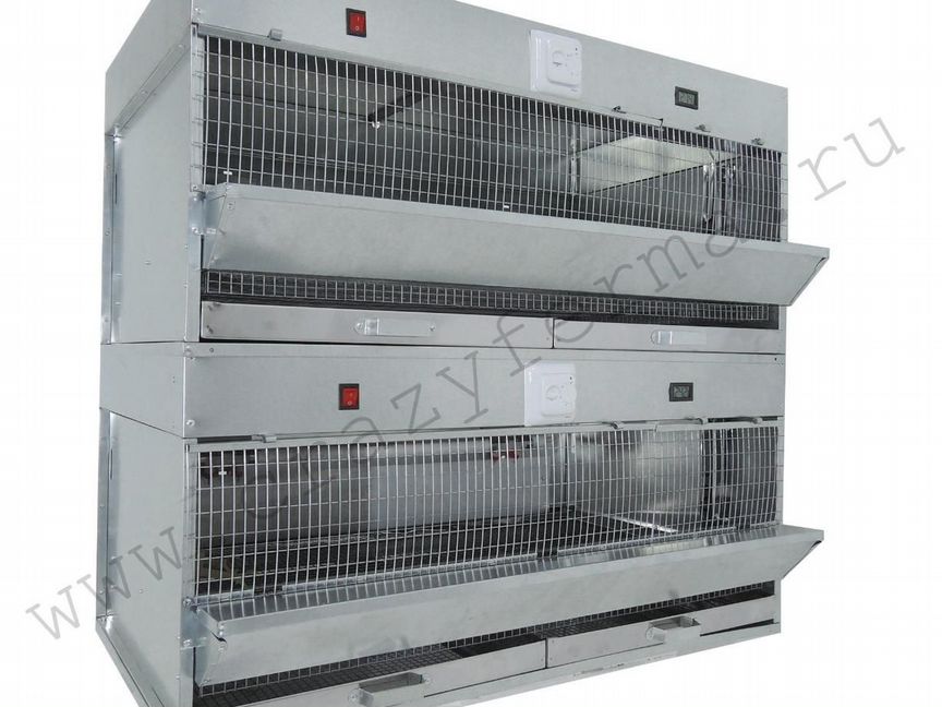 Брудер для цыплят с терморегулятором