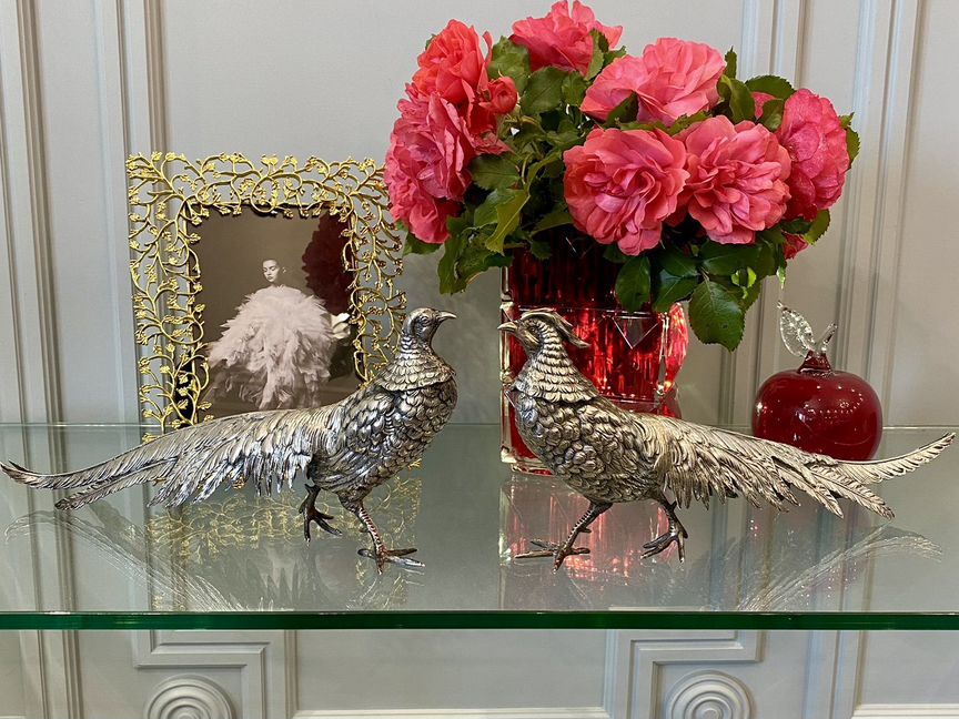 Фазаны птицы, серебро